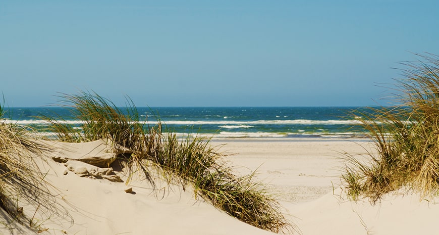 Summer holiday 2019 - David Super-Light | David Super-Light